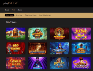 playTsogo Detailed Review - Bet and Win